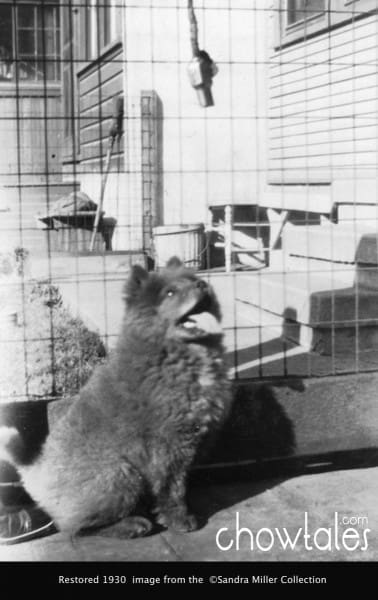 1930-1931 Album pages reveal love for Yen Sen - ChowTales