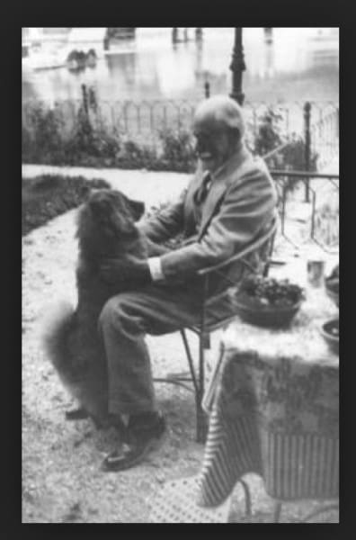 Sigmund Freud and his Chows in photos and video - ChowTales
