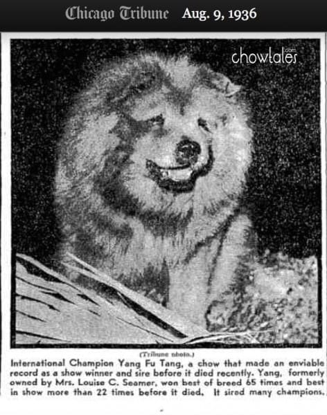 1929 TIME CAPSULE – CH YANG FU TANG – 1ST BIS RECORD HOLDER - ChowTales