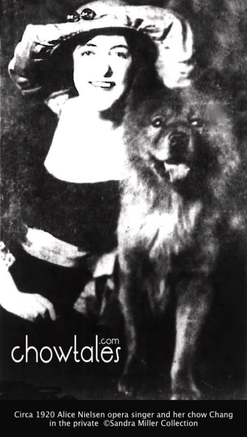 Alice Nielsen Opera Singer. Early 1900’s and her chow Chang - ChowTales