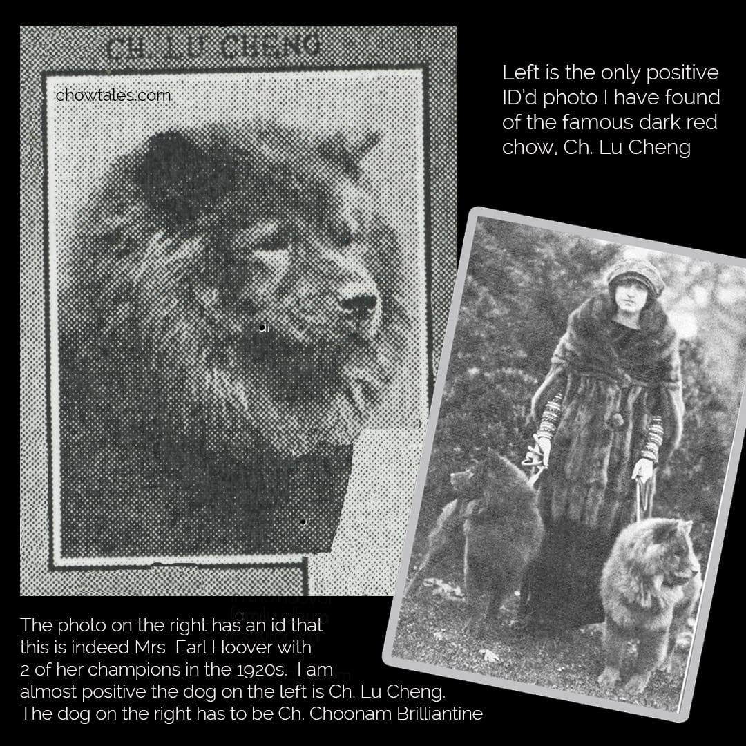 Introducing the 1922 Ch. Lu Cheng Time Capsule Trophy-In Honor of Lil ...