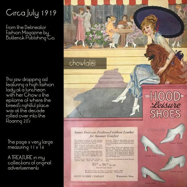 1919 Delineator Magazine – Hood Shoes Advertisement with Lady and Chow ...