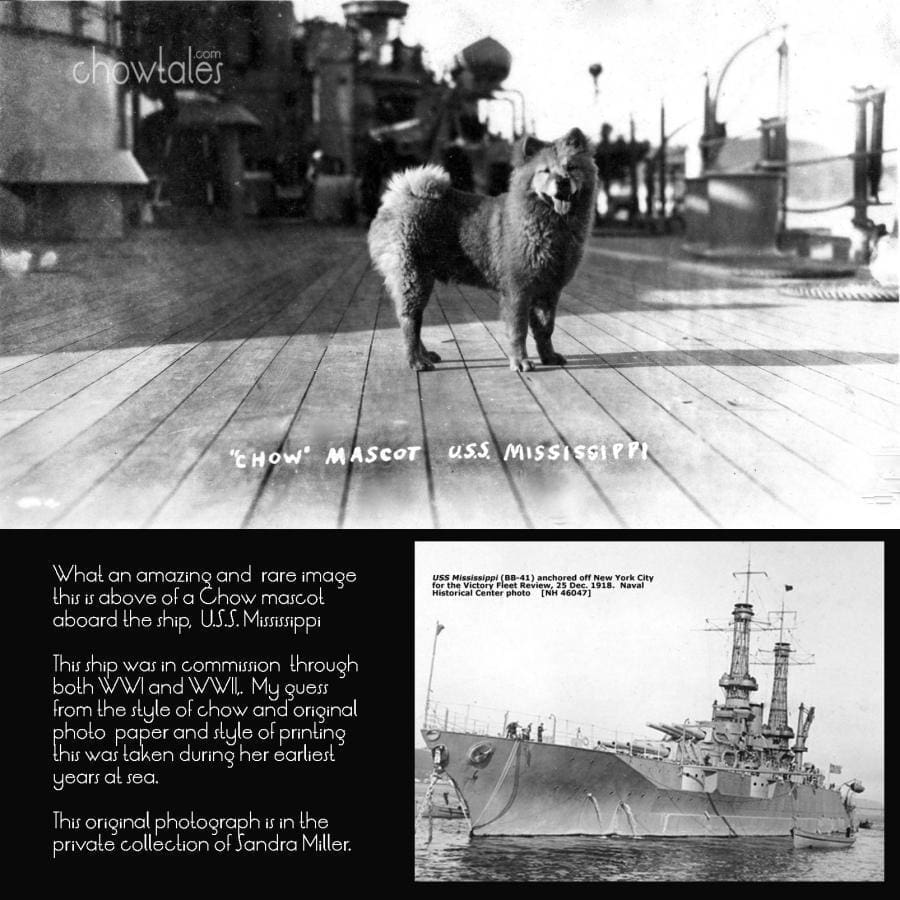 Circa early 1900’s – Chow Mascot aboard U.S.S Mississippi - ChowTales