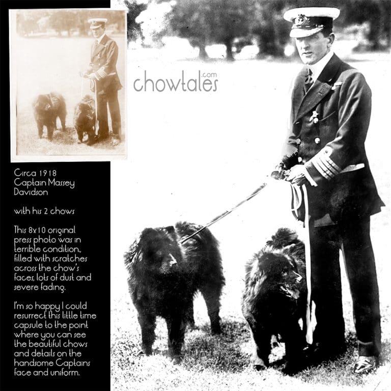 CHOW-HUMAN BOND - ChowTales