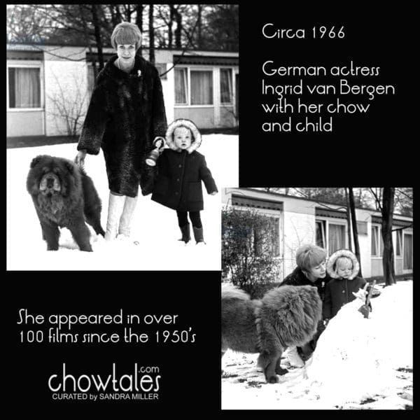 1966 – German actress Ingrid van Bergen with a chow - ChowTales