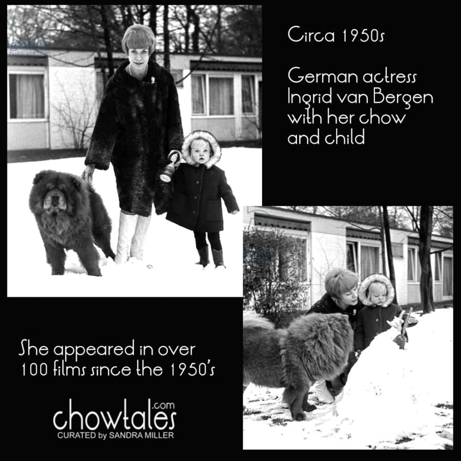 1950s – German actress Ingrid van Bergen with a chow - ChowTales