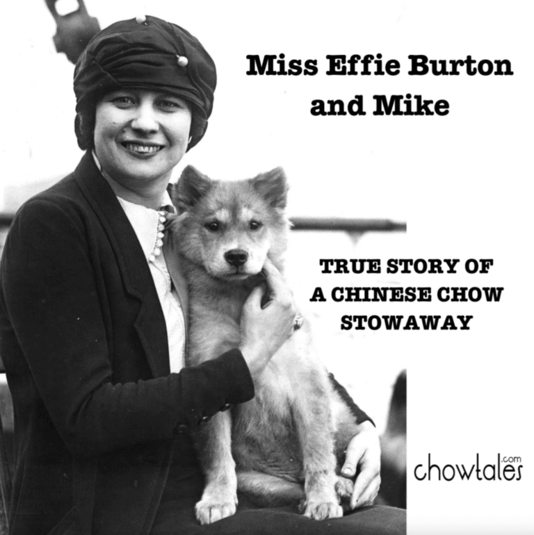 CELEBRITY CHOWS - ChowTales